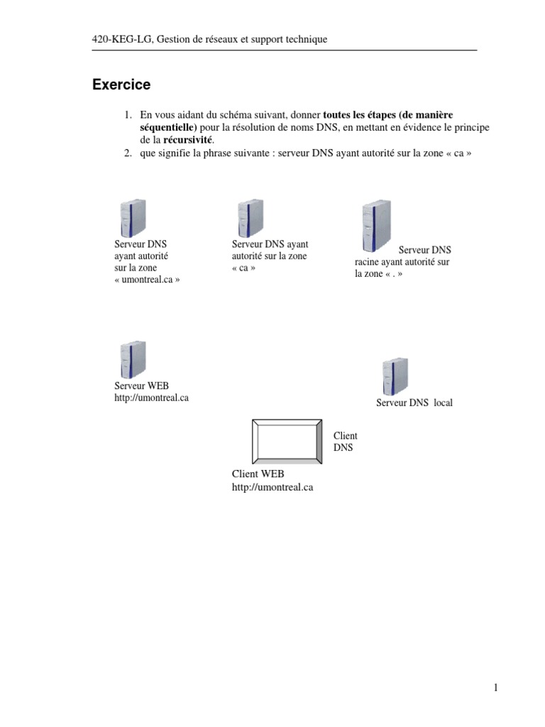 Exo Dns | PDF | Système de noms de domaines | Standards de réseaux