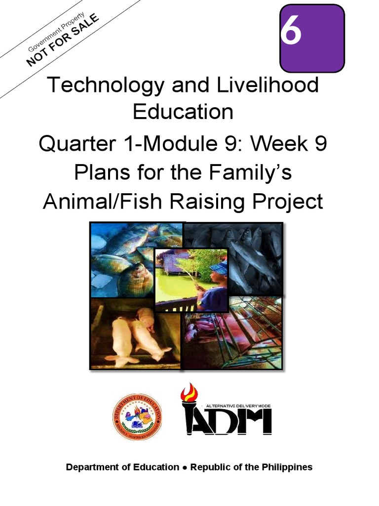 TLE6 Q1 Mod9 Plans For The Familys Animal Fish Raising | PDF | Meat | Pond