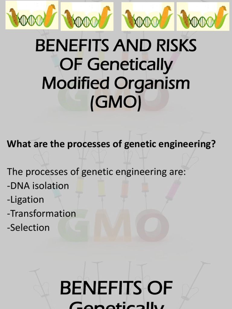 GMO Pros and Cons for Farmers | PDF