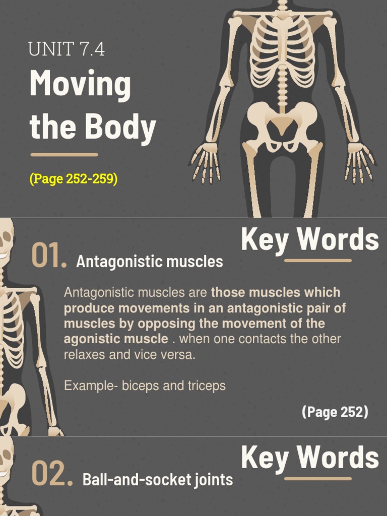 Unit 7.4 - Moving The Body | PDF | Skeleton | Arm