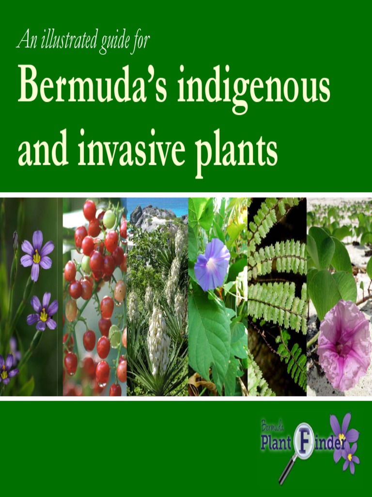 Bermuda's Indigenous and Invasive Plant Finder 2016 | PDF
