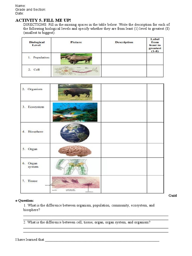 Grade 7 Q2 Science LAS | PDF | Science & Mathematics