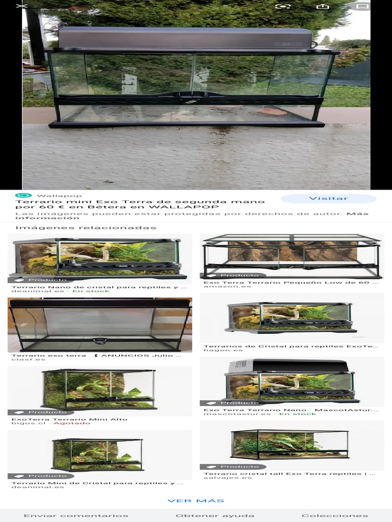 Mini Terrario Exoterra - Búsqueda de Google | PDF