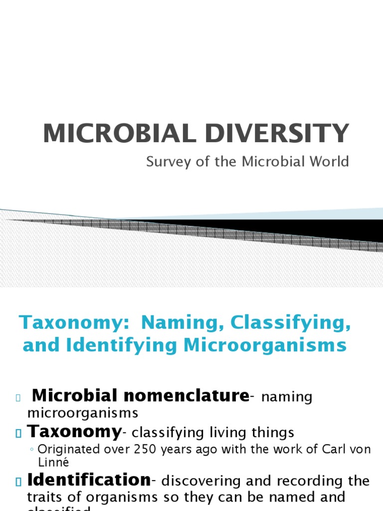 Microbial Diversity and Taxonomy Overview | PDF | Cell (Biology ...