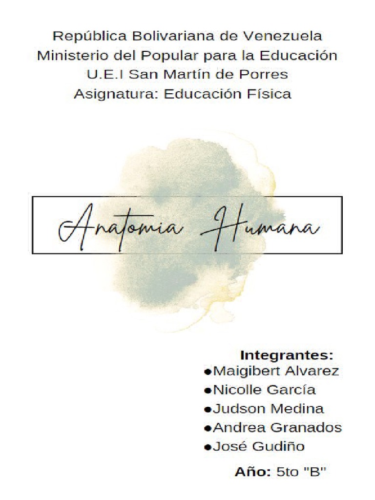Anatomia Humana - Educacion Fisica | PDF | Articulación | Músculo ...