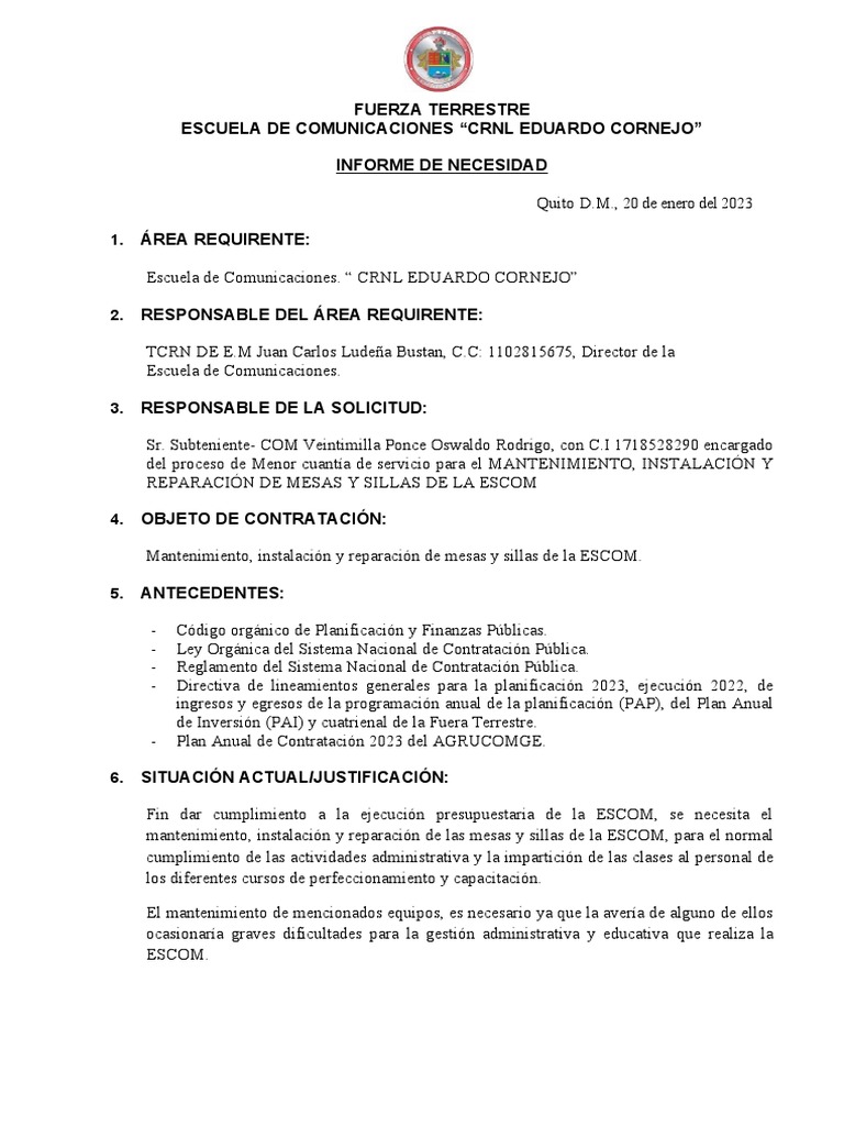 1 Informe de Necesidad | PDF