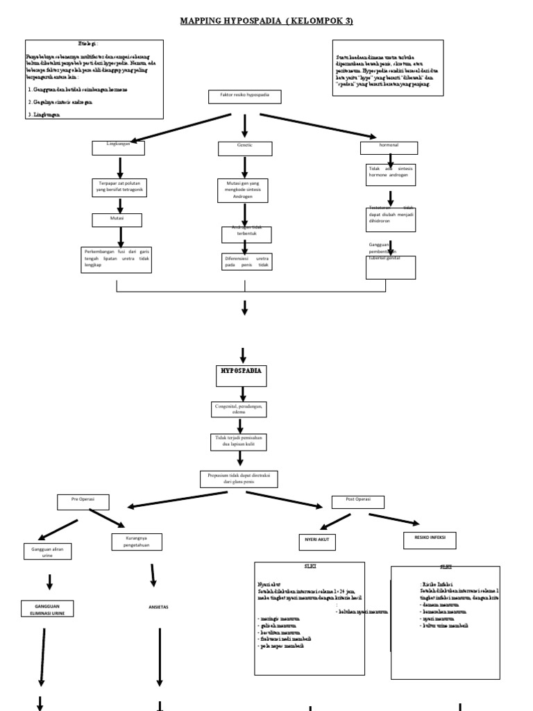 Penyebab dan Manajemen Hypospadia | PDF