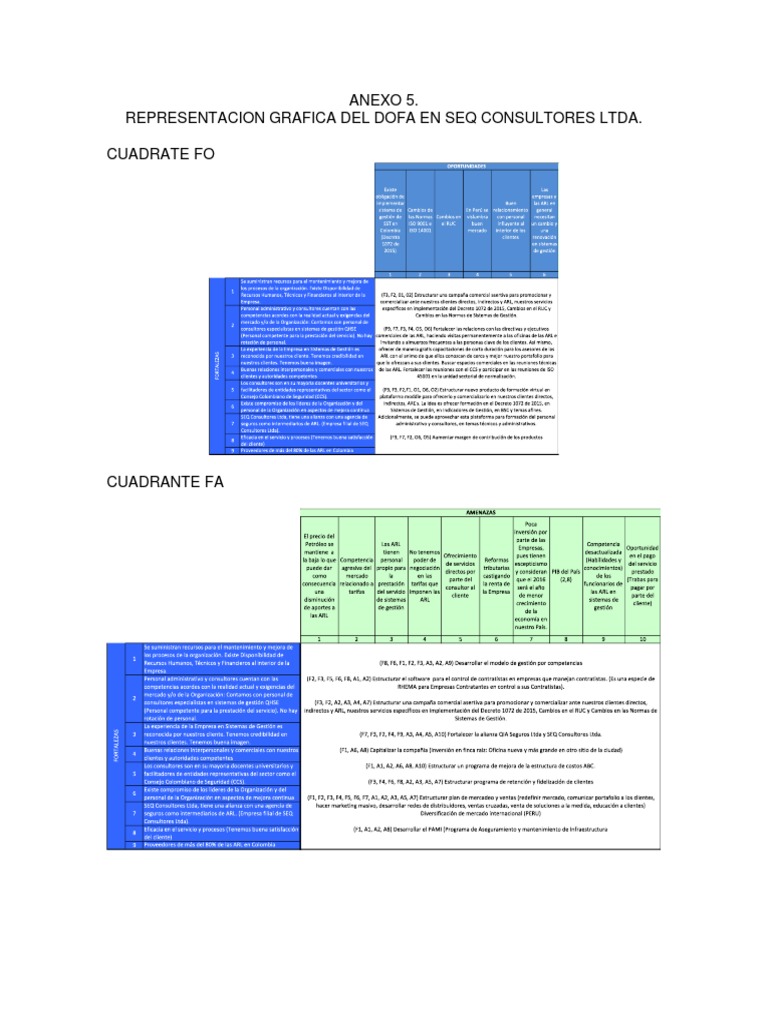Dofa Enfoques | PDF | Business | Planificación
