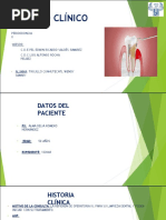 Inserto Esfinto Plus | PDF | Medicina CLINICA | Especialidades Medicas