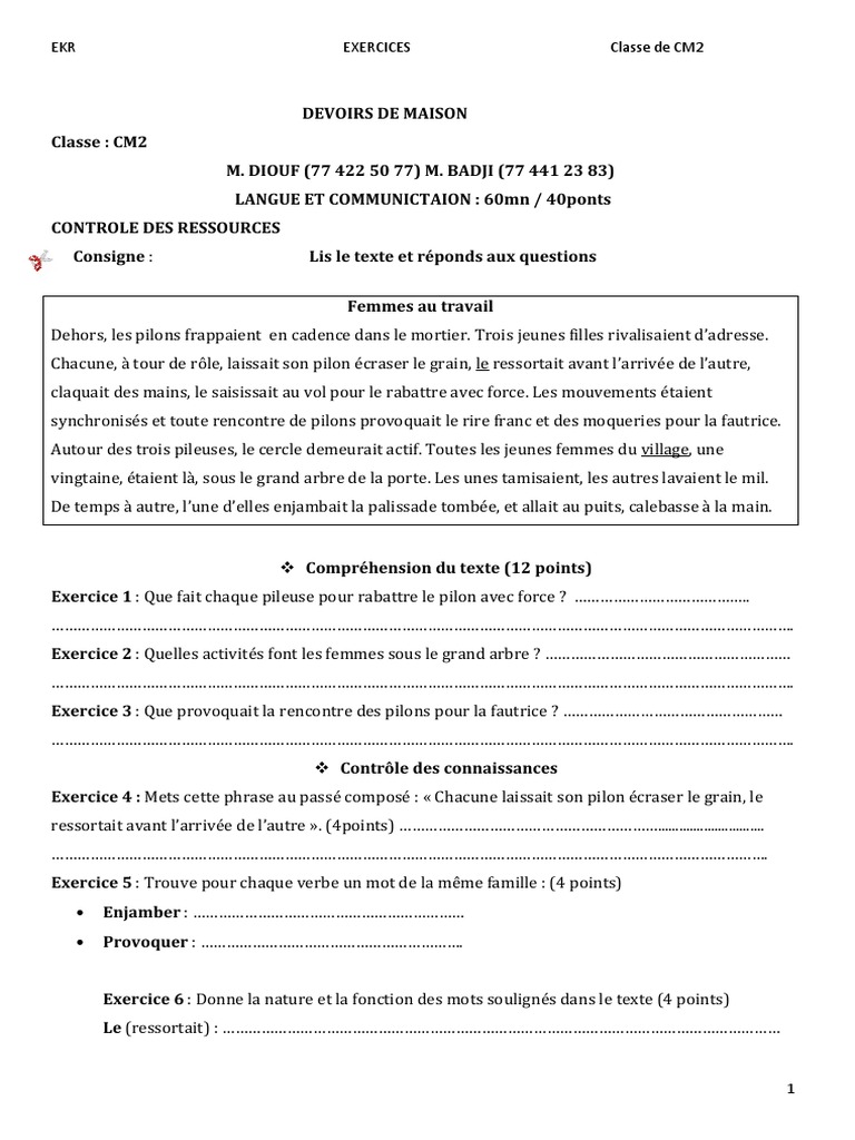 Devoirs de CM2 : Exercices et Contrôles | PDF