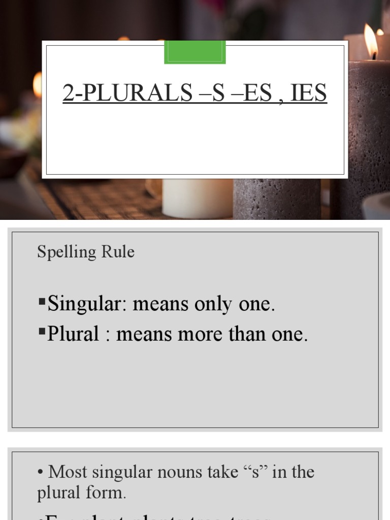 2-Plurals - S - Es, Ies | PDF