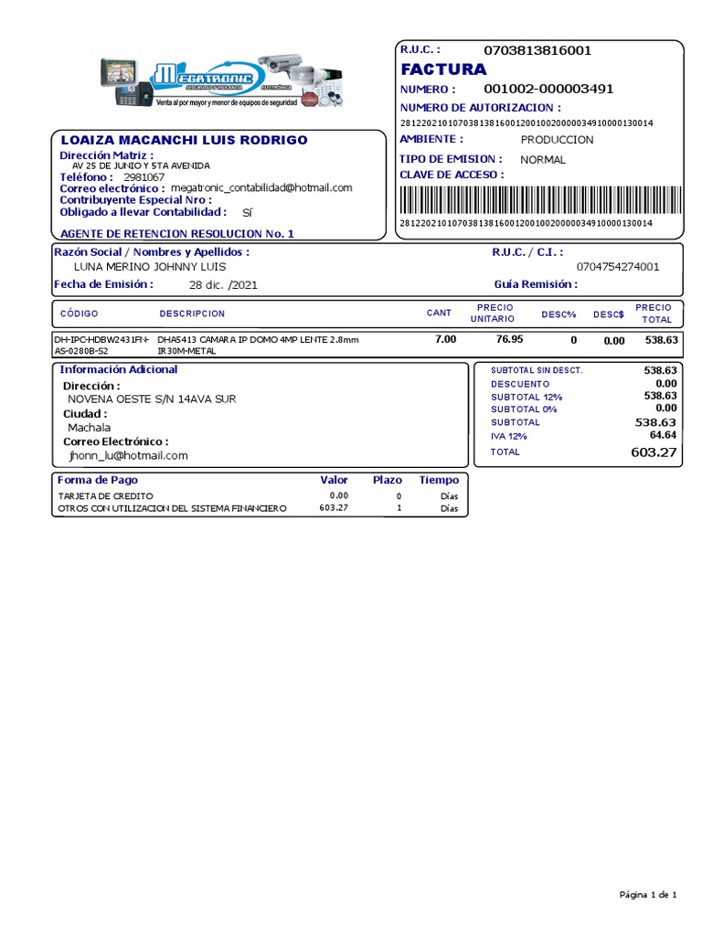 Factura: Loaiza Macanchi Luis Rodrigo | PDF | Dinero | Economias