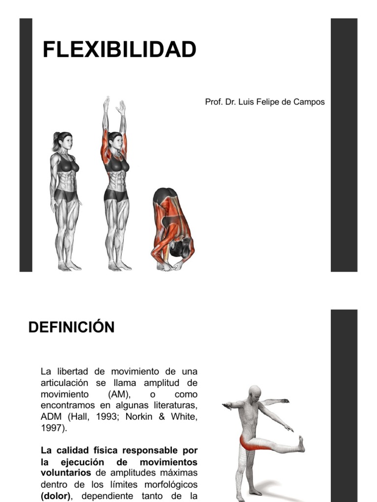 Flexibilidad | PDF | Flexibilidad (anatomía) | Músculo esquelético
