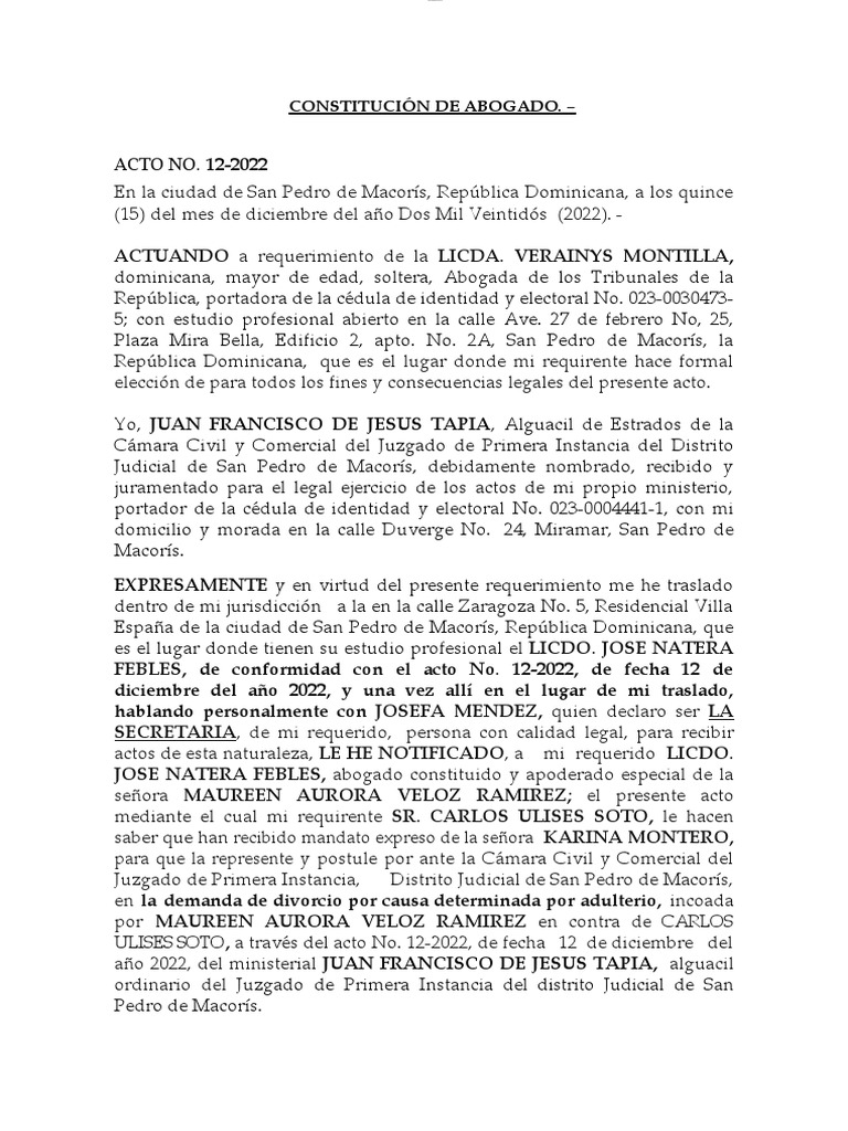 Constitucion De Abogado Proc Civil Pdf Justicia Crimen Y Violencia