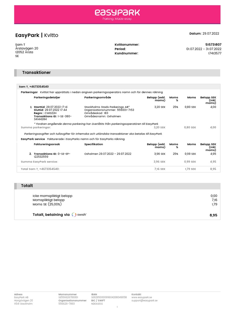 Receipt BI 515731807 | PDF