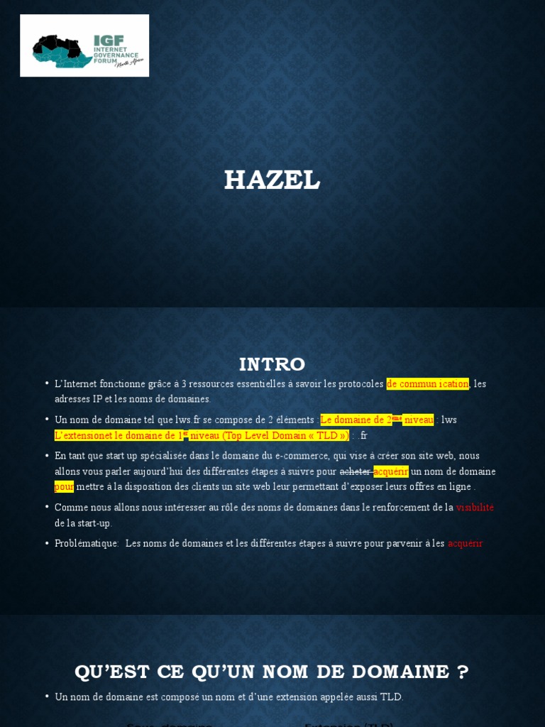 HAZEL | PDF | Internet | Internet et Web