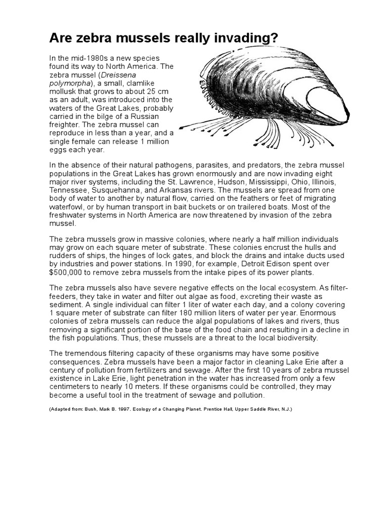 WWW Biologycorner Com Worksheets Articles Zebra - Mussels HTML | PDF ...