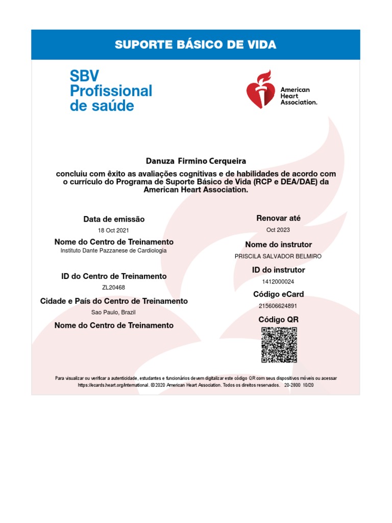 SBV Profissional de Saúde: Suporte Básico de Vida | PDF