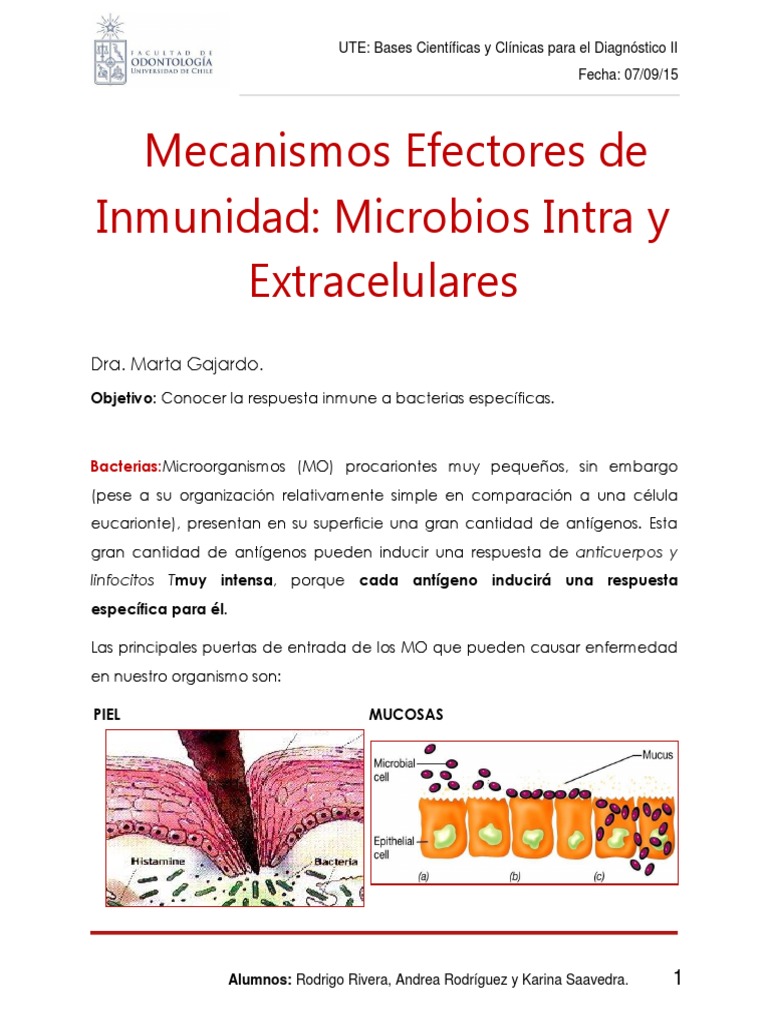10 - Mecanismos Efectores de Inmunidad Microbios Intra y Extracelulares REVISADA | PDF | Sistema ...