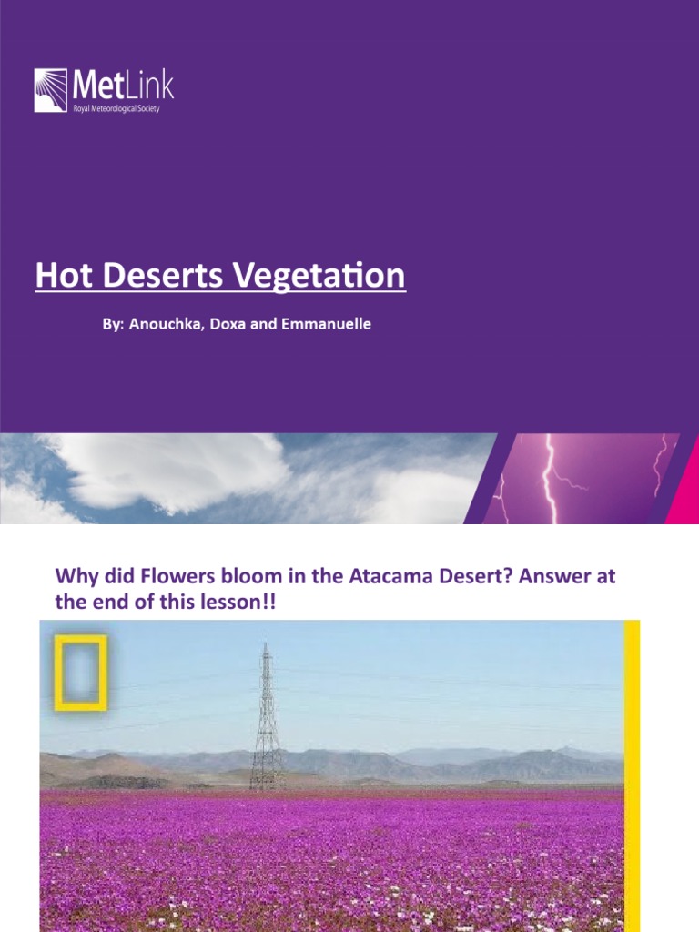 11.hot Deserts | PDF | Desert | Precipitation