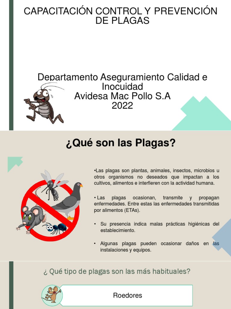 Evaluacion A Control de Plagas PDF | PDF | Plaga (organismo)
