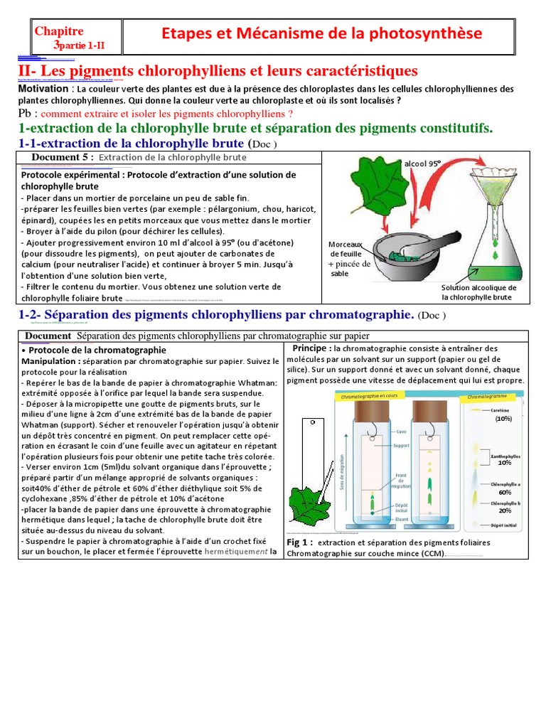 Extraction et séparation des pigments chlorophylliens | PDF ...