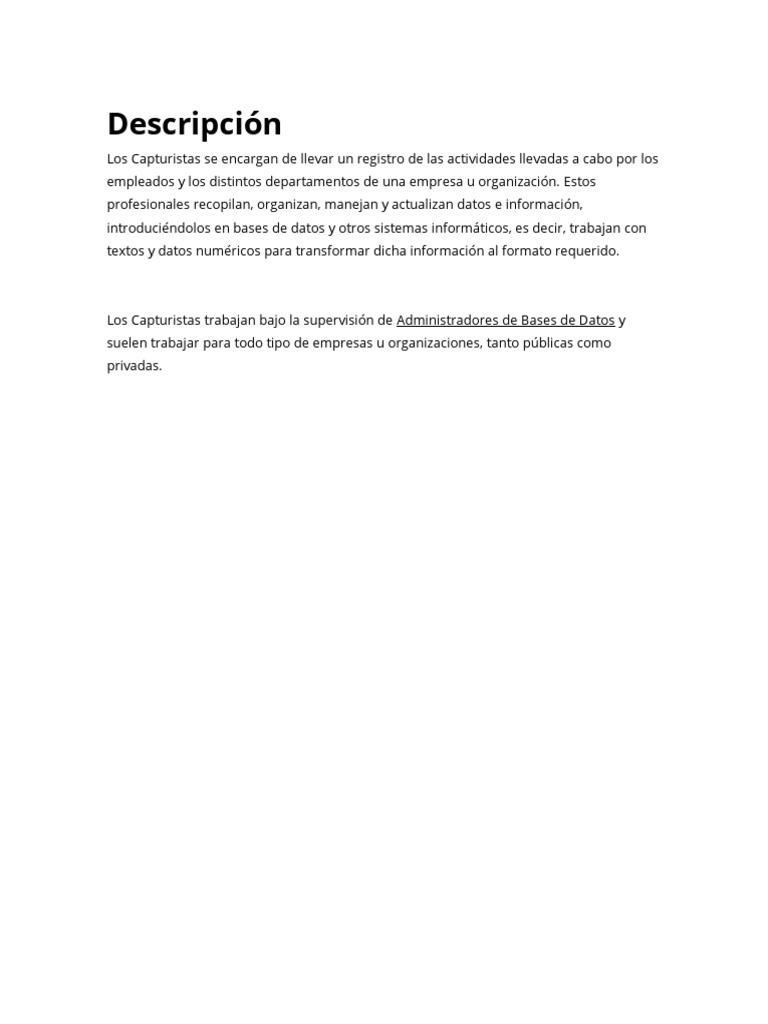 Descripción Capturista | PDF