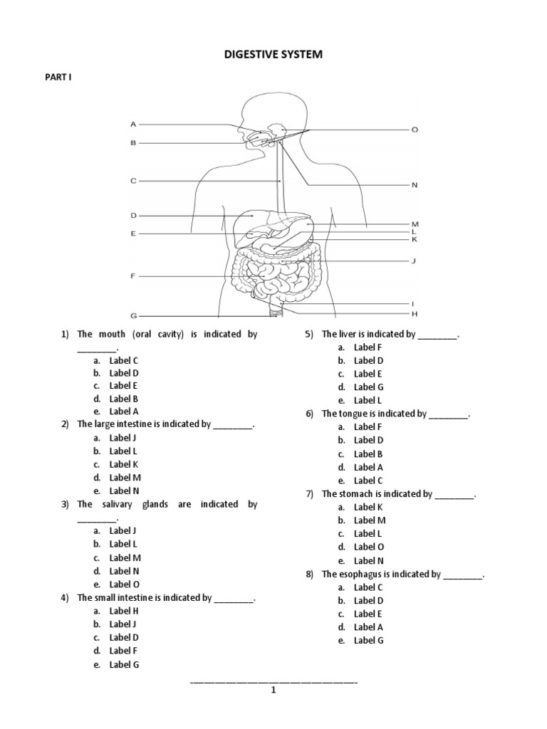 DIGESTIVE SYSTEM | PDF | Digestion | Gastrointestinal Tract