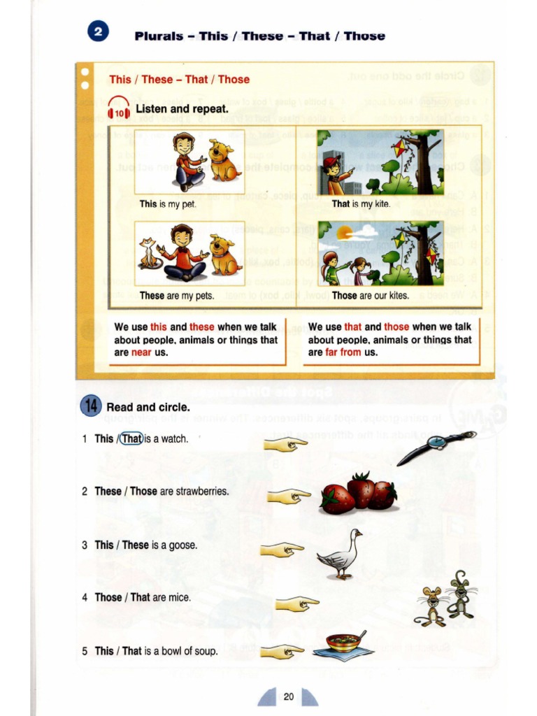 Demonstrative Pronouns | PDF