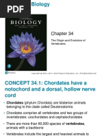 Vertebrate Zoology Lecture Notes | PDF | Vertebrates | Tissue (Biology)