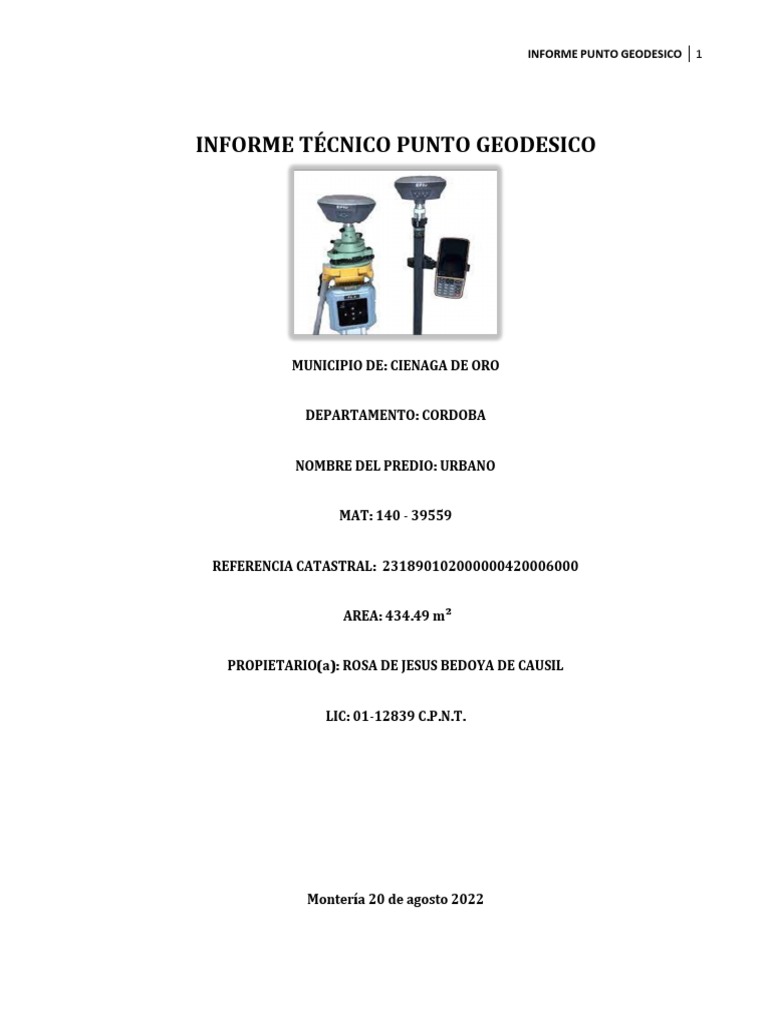 Informe Levantamiento | PDF