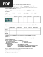 Biologija 6 - 15min Testovi | PDF