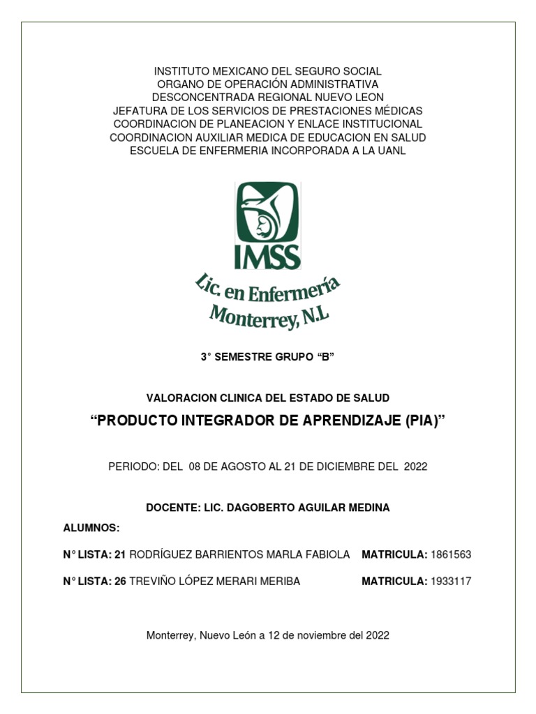 Avance #5 Pia Valoracion Marla y Merari | PDF