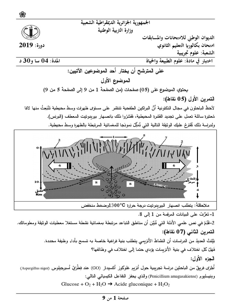 Dzexams Bac Sciences Se 20191 3051478 | PDF