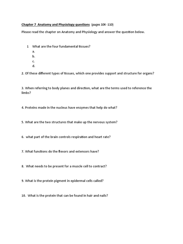 Chapter 7 Anatomy and Physiology Questions | PDF