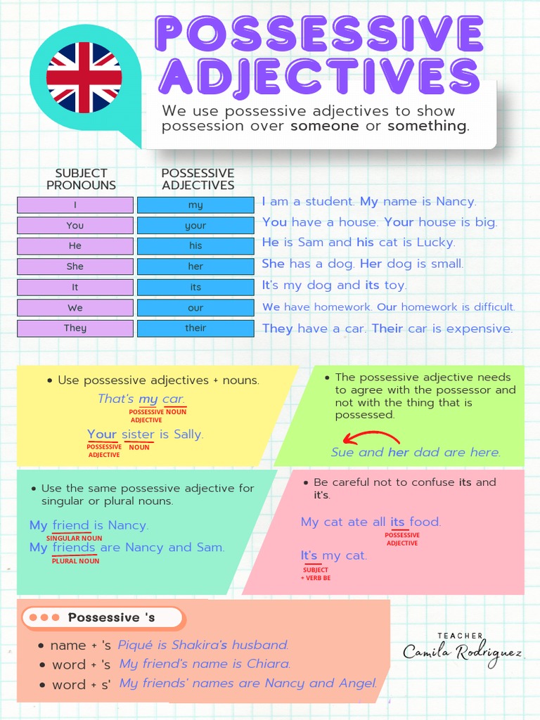 POSSESSIVE ADJECTIVES L3 | PDF | Noun | Adjective