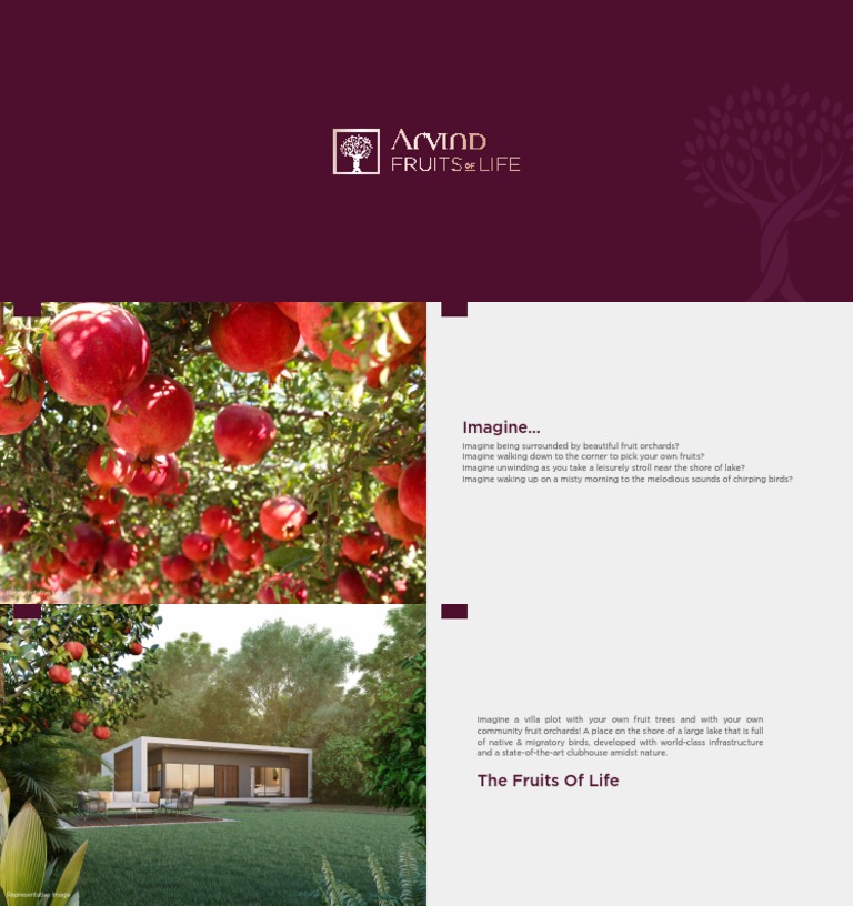 Fruit of Life E Brochure 1 | PDF | Trees | Mango