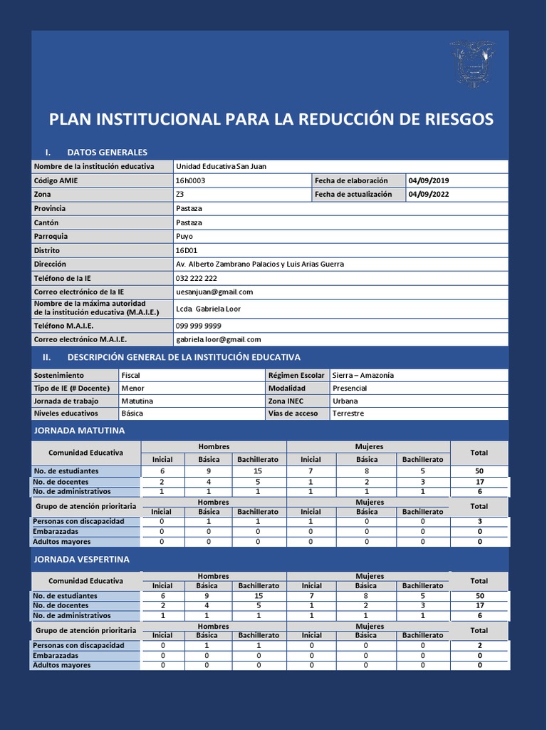 Formato Actual - Pirr | PDF
