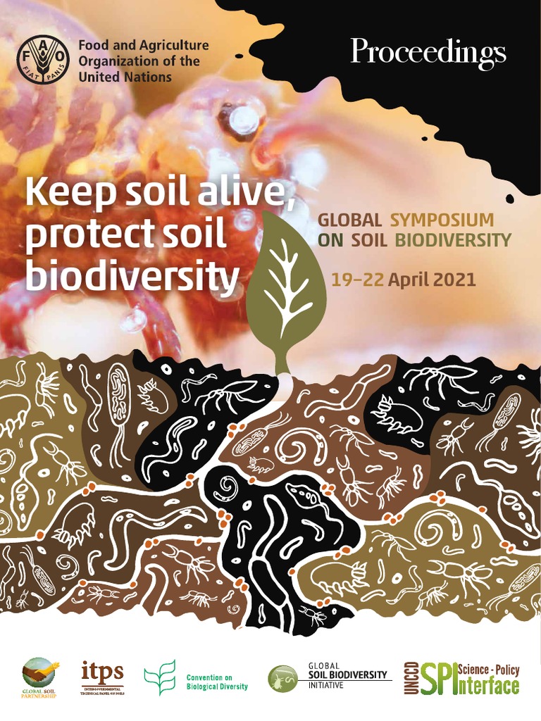 Keep Soil Alive Protect Soil Biodiversity | PDF | Soil | Biodiversity