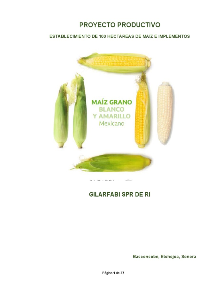 Proyecto de Maiz | PDF | Agricultura | Maíz