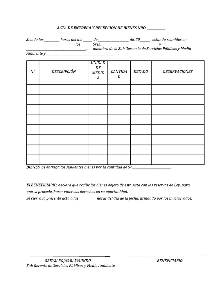 MODELO DE ACTA DE ENTREGA DE EPPs | PDF