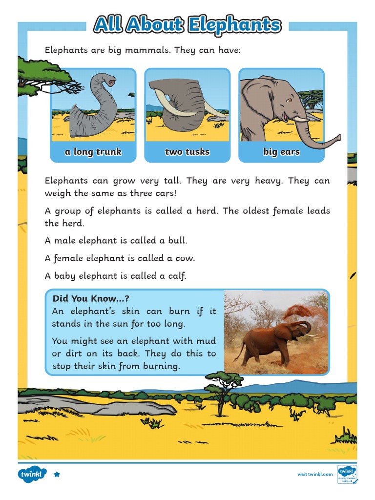 All About Elephants Differentiated Reading Comprehension Activity | PDF