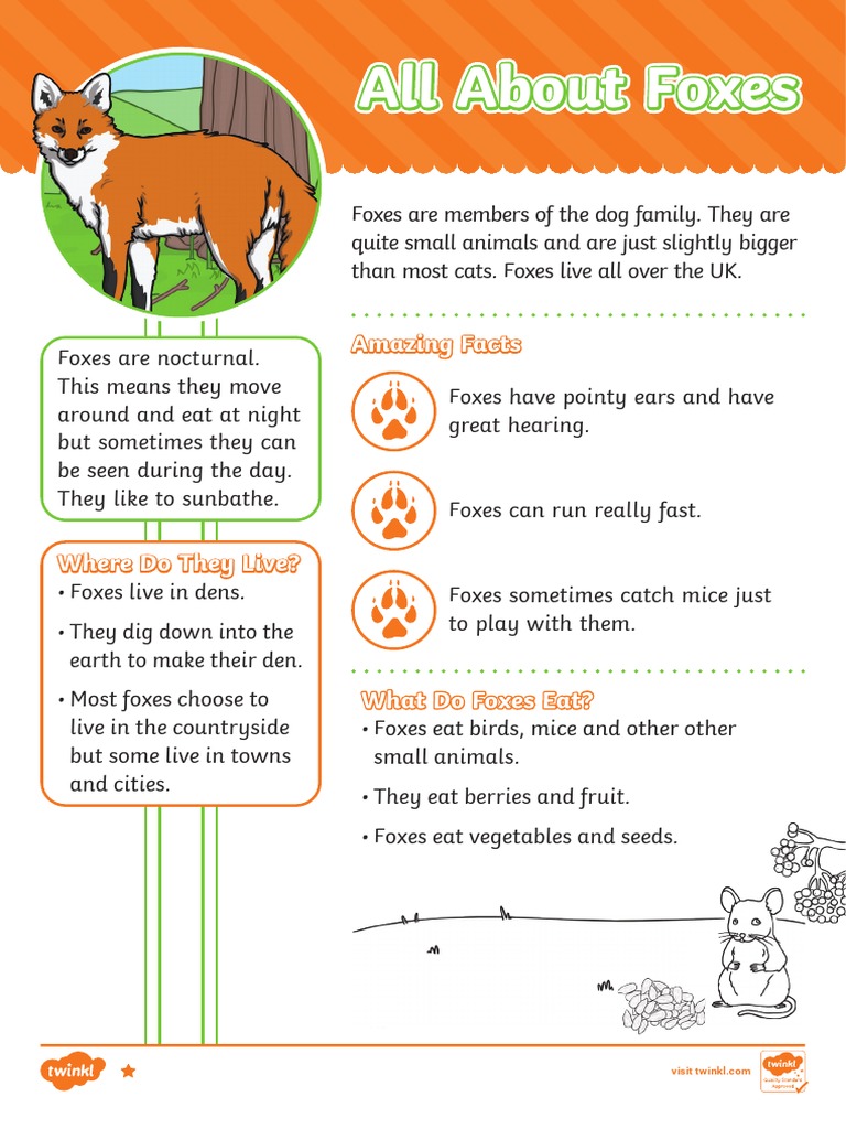 Foxes: Facts, Habitat, and Diet | PDF | Fox | Cats