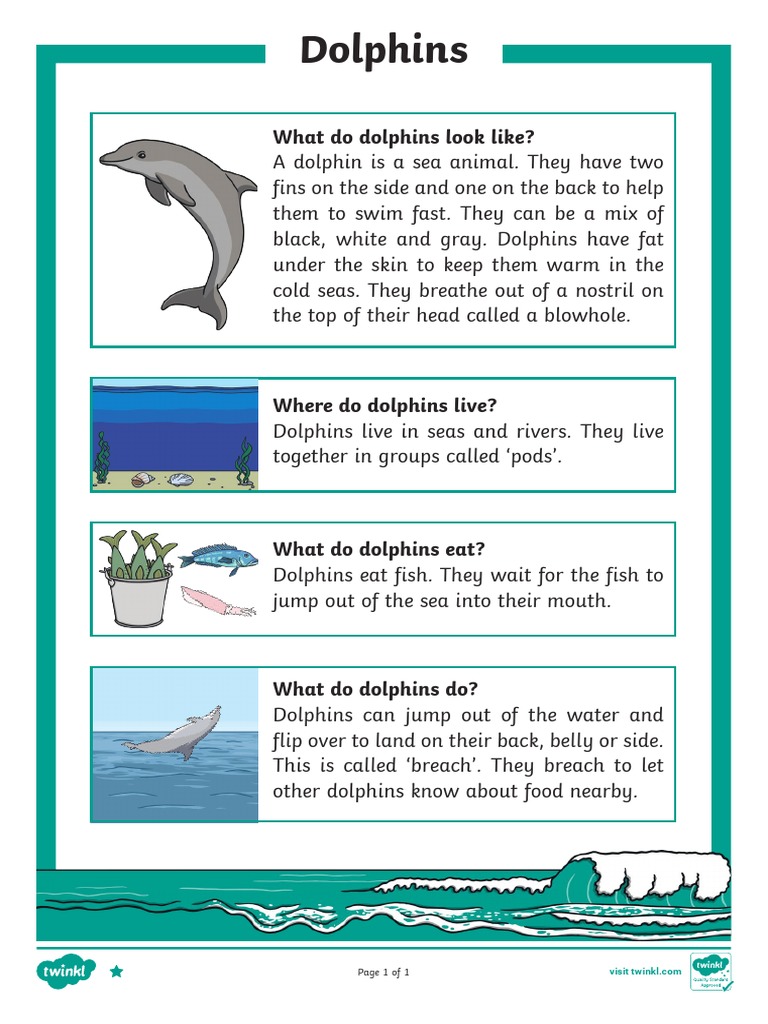 Dolphins Differentiated Reading Comprehension | PDF | Dolphin | Cetacea