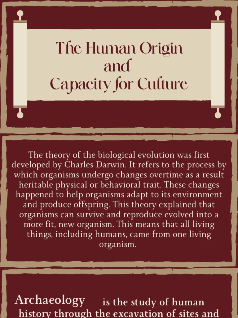 The Human Origin and Capacity for Culture | PDF | Homo | Lucy ...