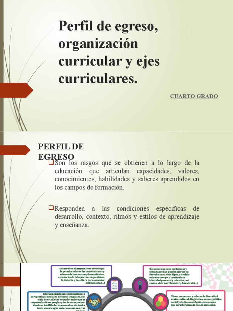 PERFIL DE EGRESO, ORGANIZACIÓN CURRICULAR NEM 4° Grado | PDF