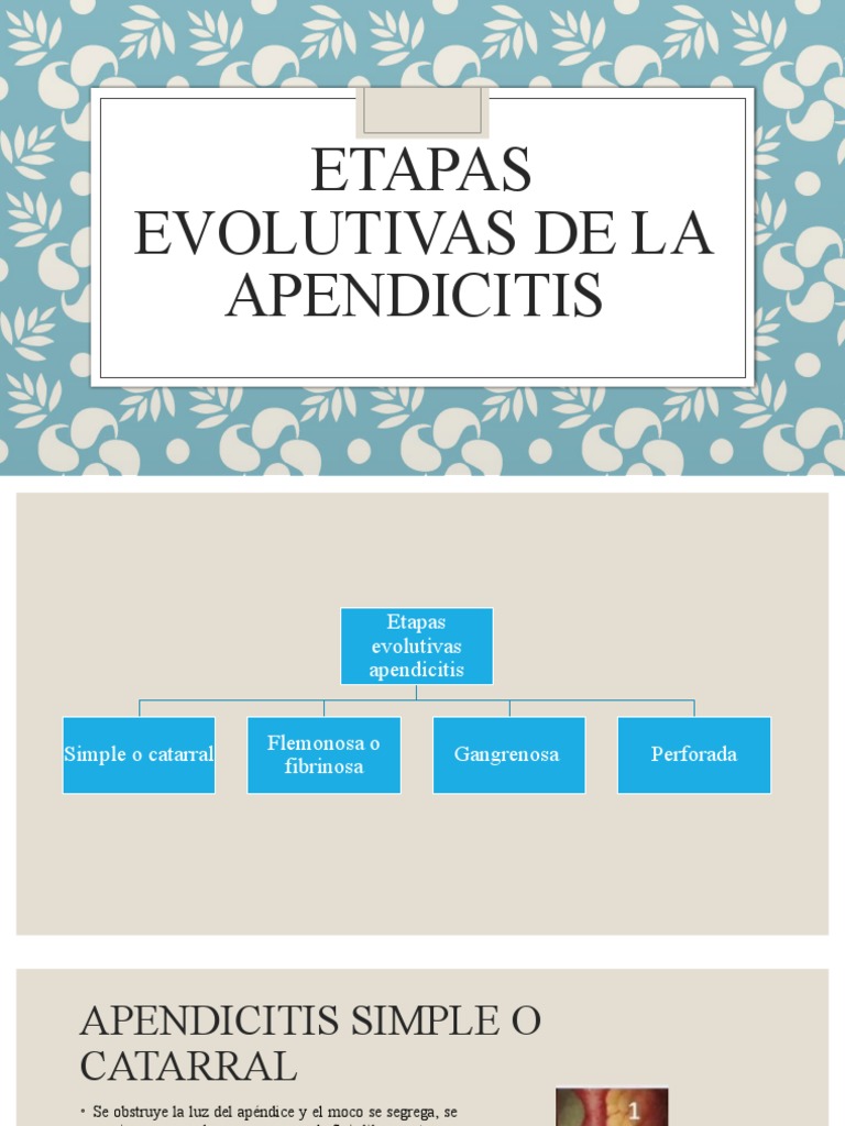Etapas Evolutivas de La Apendicitis | PDF