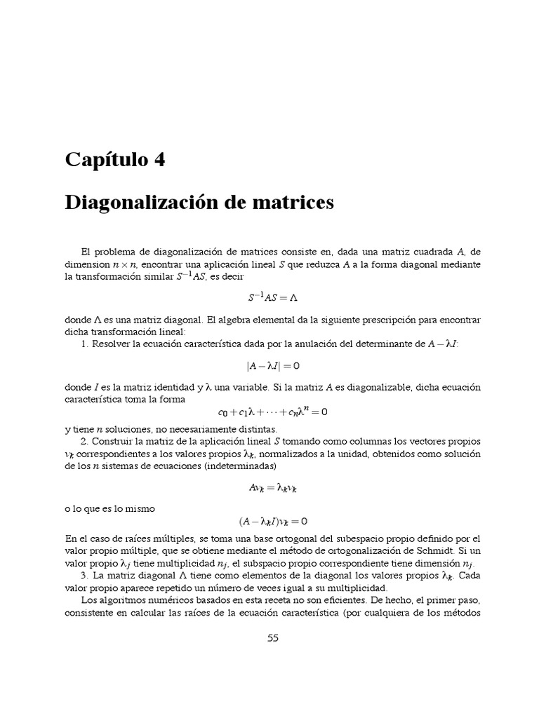 Teoría Diagonalización Matrices | PDF | Valores propios y vectores propios | Matriz (Matemáticas)
