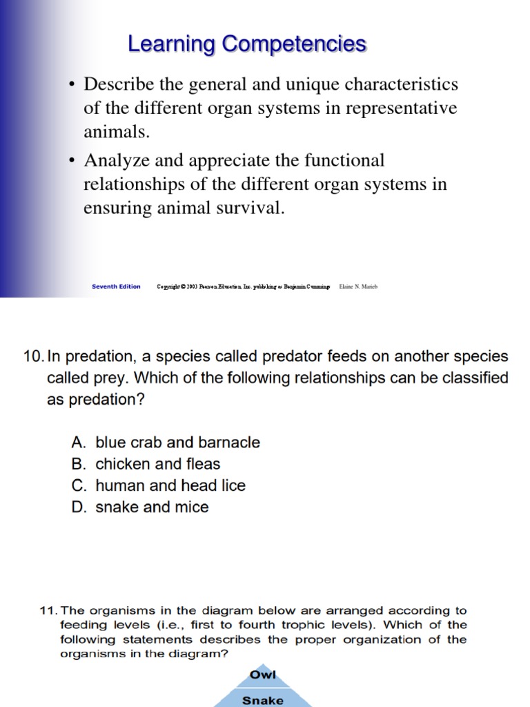 Circulatory System-ELS | PDF | Atrium (Heart) | Heart