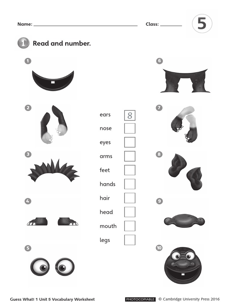 Guess What - 1 - AE - Unit - 5 - Vocabulary Worksheet | PDF